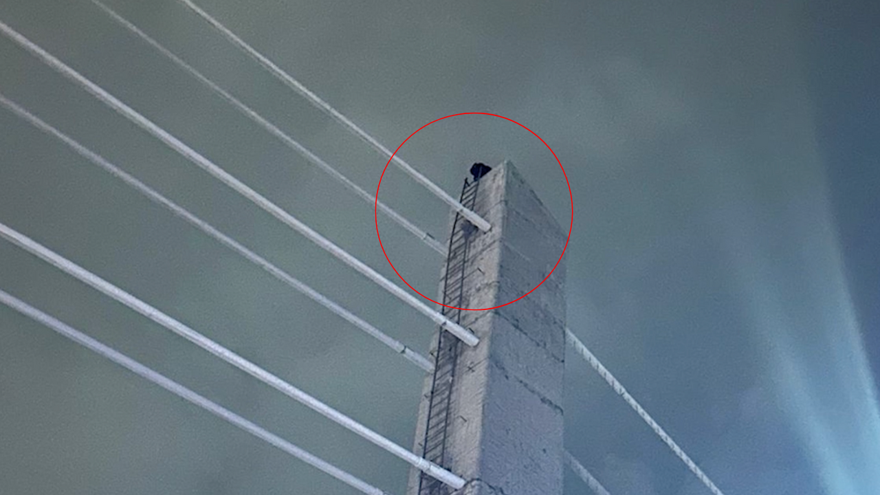 Impiden que sujeto se arrojara desde el puente de la Calzada Ignacio Zaragoza y la Autopista ...